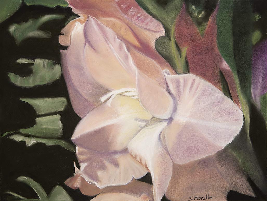 Susan Morello | Artist Frame of Mind